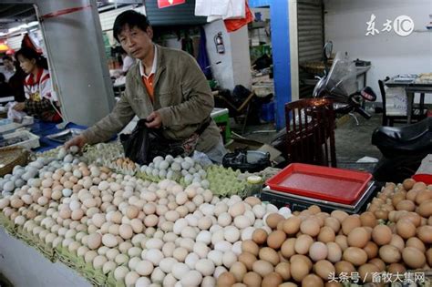 6月29日全國雞蛋價格：雞蛋價格連續下滑，這回還要探底？ 每日頭條