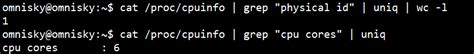 Pytorch在dataloader卡住dataloader卡线程直接占满所有cpu进程怎么回事 Csdn博客