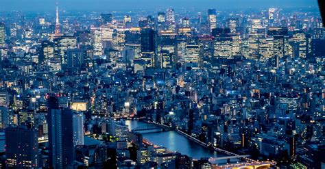 2024年10月28日 Digital Life Innovator