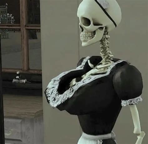 Cười Xả Stress Với 122 Skeleton Meme độc đáo Và Sáng Tạo