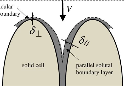 Scheme Showing The Various Types Of Solutal Boundary Layers Near The Download Scientific Scheme Showing The Various Types Of Solutal Boundary Layers Near The Download Scientific