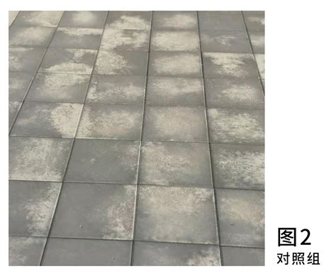 泓晨万聚