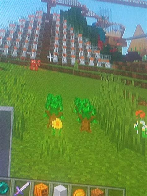 Why Wont My Dark Oak Saplings Grow Ive Followed The Instructions And