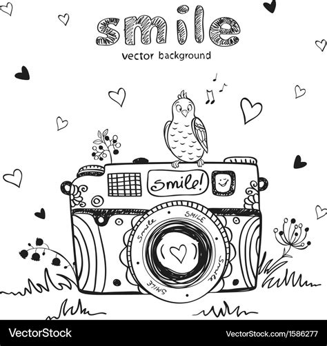 Cute Camera Vector Images Over 24000