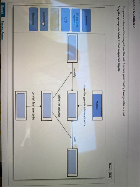 Solved Which Of The Following Pairs Of Base Sequences Could Chegg Com