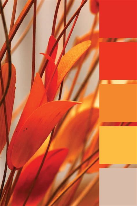 Firey Red And Deep Yellow Color Palette