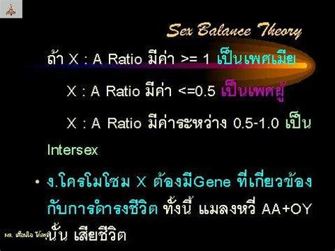 Sex Balance Theory