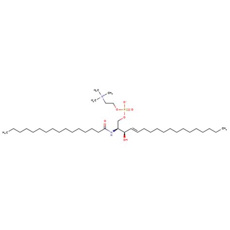 Sphingomyelin Structure