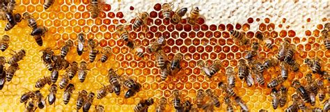 Key Techniques For Mastering Data Aggregation For Analysis Owox Bi Medium