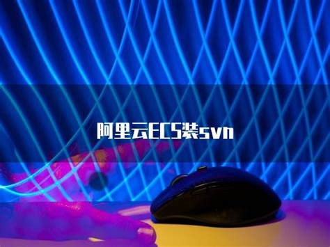 阿里云ECS装svn