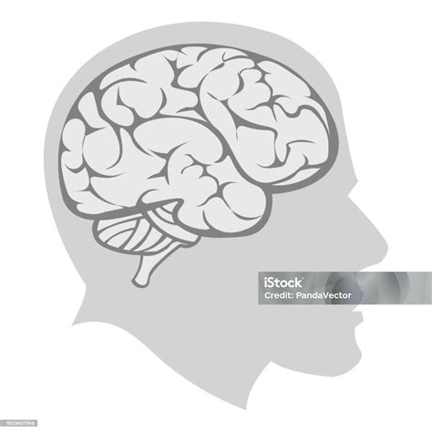 大腦圖示單色單一教育圖示從大學校 大學單色向量圖形及更多人圖片 人 人的頭部 人腦 Istock