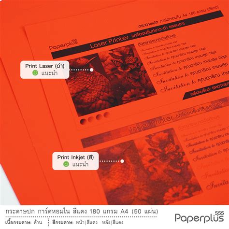 555paperplus กระดาษนามบัตรหอม A4 การ์ดขาว สี การ์ดหอม หนา 180 210 แกรม