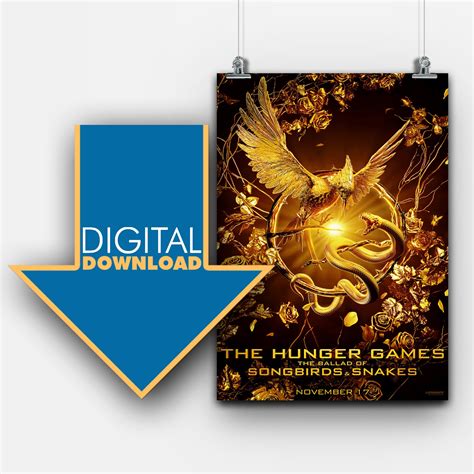 The Hunger Games Tbosas High Resolution Movie Art Poster Print 5 