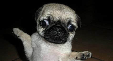 Make A Grid Based Game With Unity Dev Log Day 1 By Taylor Coon Dev Genius