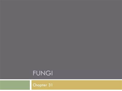 Ppt Fungi Powerpoint Presentation Free Download Id4111737