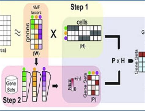 Comparative Evaluation Of Gene Set Analysis Approaches For Rna Seq Data