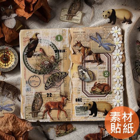 台灣現貨【山海圖鑑系列 貼紙包40入】追花 Pet 貼紙 動物 植物 手帳 素材 手帳裝飾 蝦皮購物