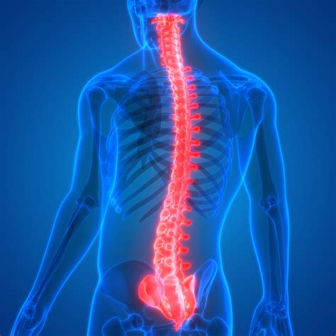 Understanding The Types Of Back Pain And Their Causes And Risks