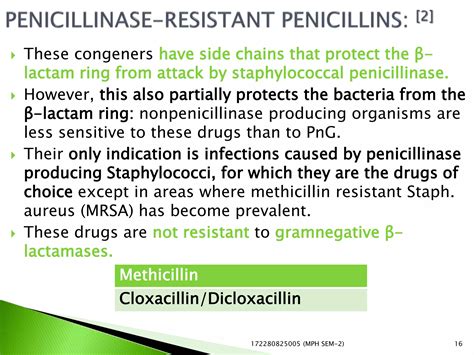Beta Lactams Antibiotics And Beta Lactamase Inhibitors Pptx
