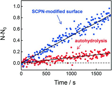Catalytic Single Chain Polymeric Nanoparticles At Work From Ensemble Towards Single Particle