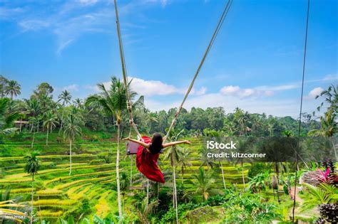빨간 드레스를 입은 젊은 여성 관광객이 인도네시아 발리의 테갈랄랑 계단식 논에서 발리 그네를 즐기고 있다 발리 소순다 열도에 대한 스톡 사진 및 기타 이미지 Istock