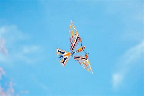 Biomimetic Drone Blends Nature And Tech For A Mesmerizing Flight Experience