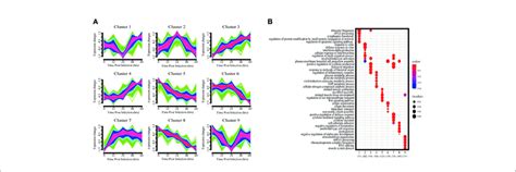 Clustering Analysis Of Expression Patterns Based On Degs A