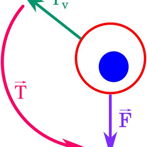 reorientation of a biological cell moving persistently a cell which