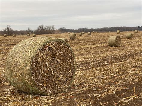 Harvesting Corn Stover