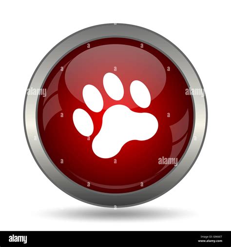 Paw Print Icon Internet Button On White Background Stock Photo Alamy