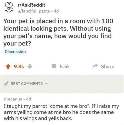 “blessed Comments” Share 50 Examples Of A Comment Making The Post