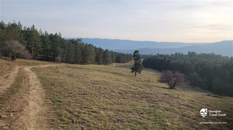 მანგლისი თხინვალა მანგლისი Georgian Travel Guide