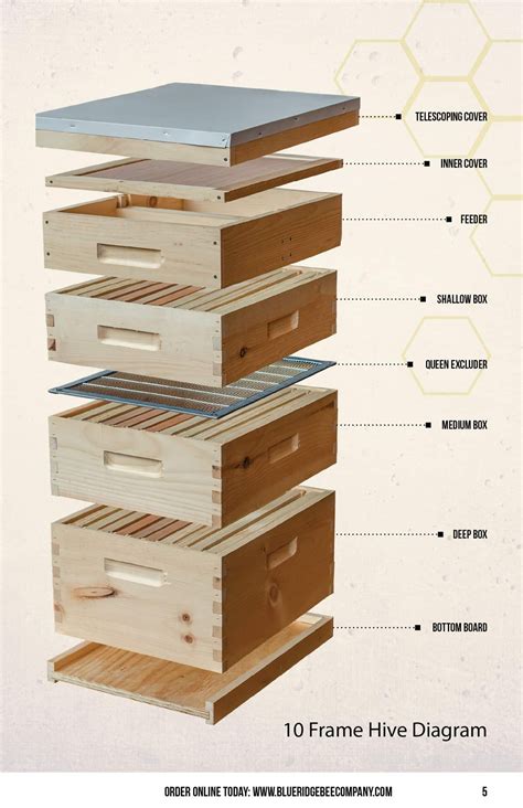 Anatomy Of A Bee Hive