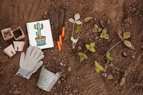 Facilities Understanding Soil Ph And How It Impacts Plant Growth