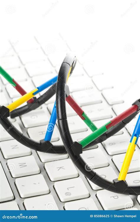DNA Molecule Model On Computer Keyboard Stock Image Image Of Black Programming