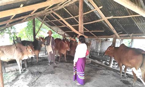 ပေါက်ခေါင်းမြို့နယ်၌ မြစိမ်းရောင်စီမံကိန်းရန်ပုံငွေများ ထုတ်ချေးပေးပြီး