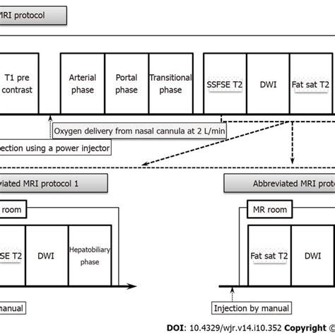 Schematic Diagrams Of The Standard Magnetic Resonance Imaging Protocol