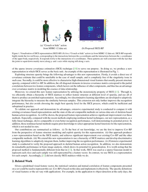 exploiting structure sparsity for covariance based visual