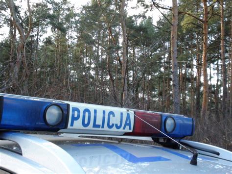 Ujawniono nielegalną wycinkę drzew w Lasach Państwowych KPP w Otwocku