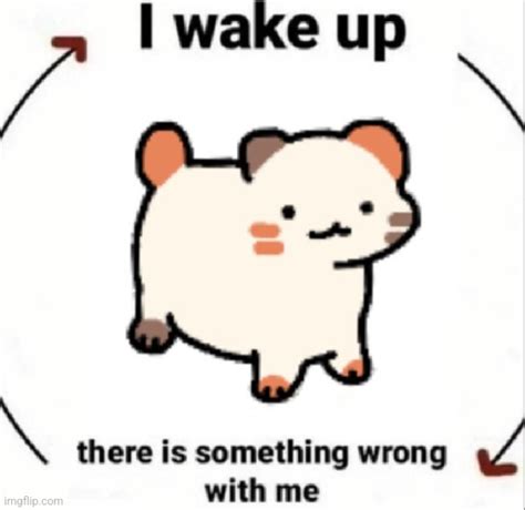 Gm Chat I Have A Race Today Imgflip