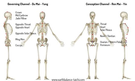 Meditation Microcosmic Orbit Taoist Meditation For Health