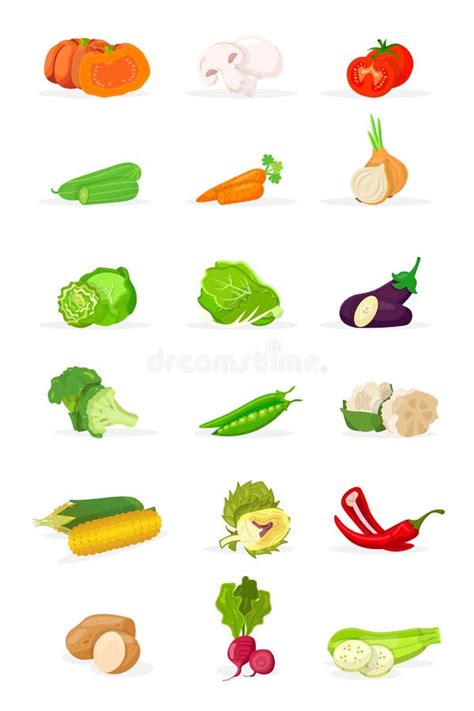 Fresh Vegetables Vector Illustrations Set Stock Vector Illustration