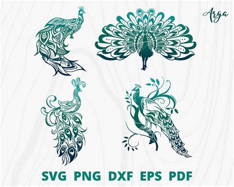 Peacock Svg Bundle Peacock Cut File Peacock Feather Svg Peacock Clipart Peacock Silhouette