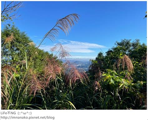 小百岳 No 020獅仔頭山獅熊縱走 健行筆記