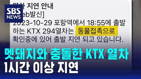 245명 탄 Ktx 열차 멧돼지와 충돌…1시간 이상 지연 Sbs Youtube