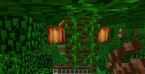 Where To Find Cocoa Beans In Minecraft