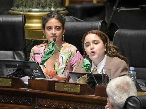 Ofelia Fernández Presentó Un Proyecto De Ley Para Que El Protector