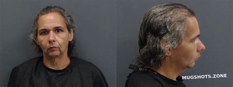 White Penny Ann 09112024 Gregg County Mugshots Zone