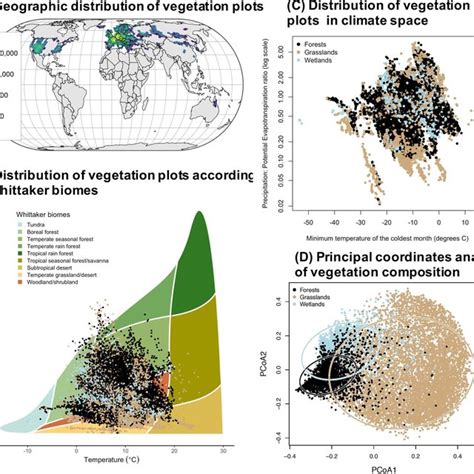Root Traits Explain Plant Species Distributions Along Climatic Gradients Yet Challenge The