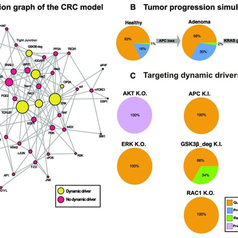 Modeling Colorectal Cancer Progression And Intervention A An